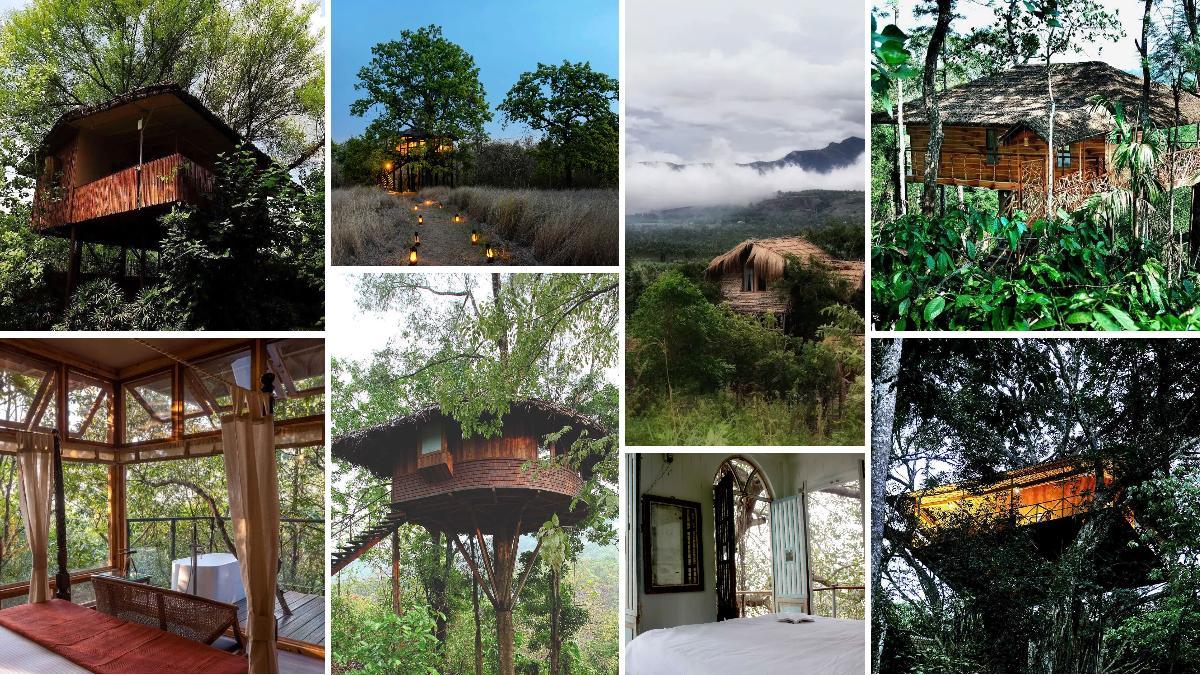 Treehouse Resorts in India: A traveler's guide to 8 best treehouse ...