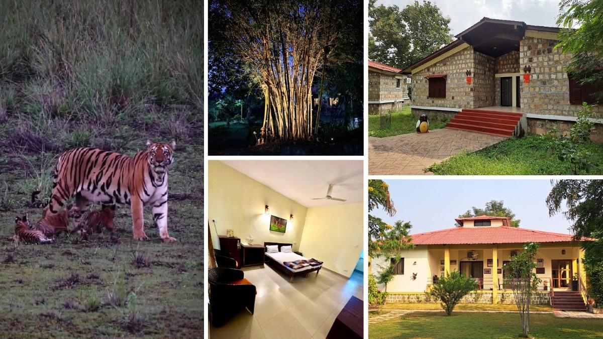 Tadoba-Andhari Tiger Reserve: A majestic wildlife sanctuary and the ...