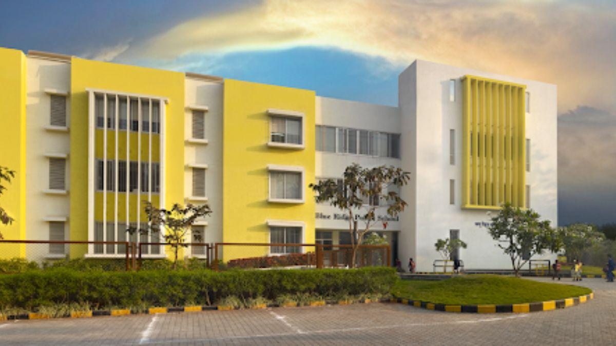 ISC & ICSE Examination 2024 Results: Blue Ridge Public School & Junior ...