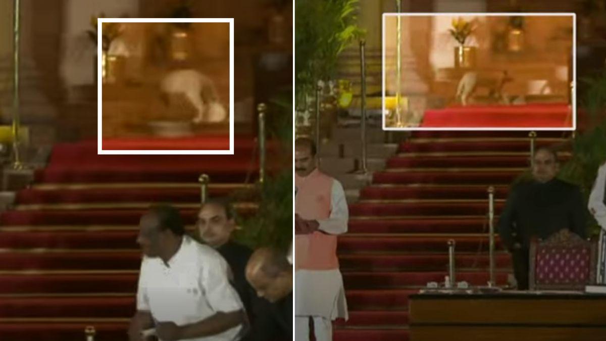 Special guest at Rashtrapati Bhavan? Strange animal seen strolling ...