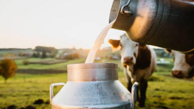How to check if water is mixed in milk? FSSAI shares a simple test at ...