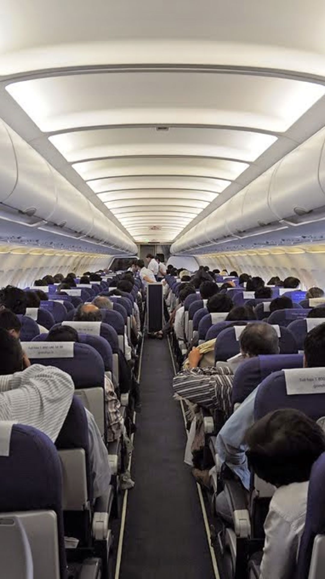 Avoid non-veg food on flights: Here's why