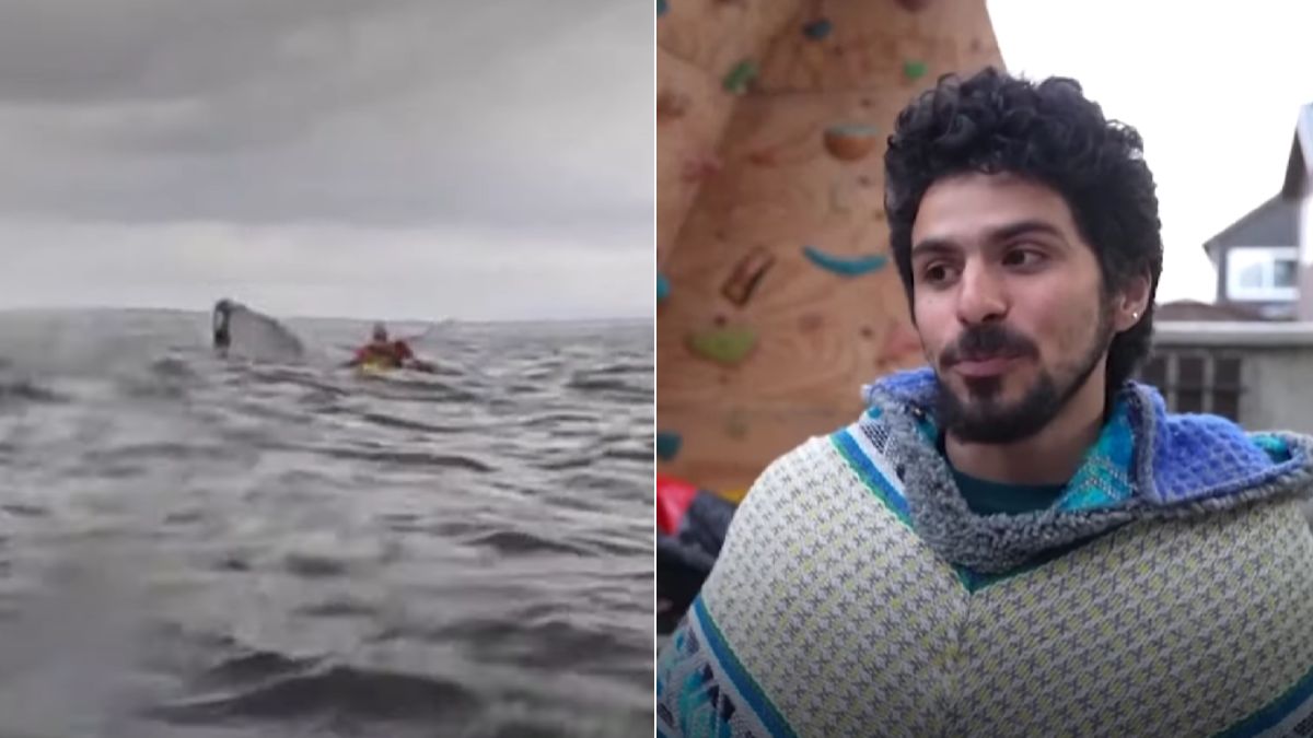 Meet the man who was swallowed alive by a whale but lives to tell the ...