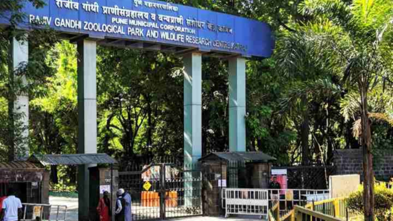 Pune: Why Rajiv Gandhi Zoological Park (Zoo) is a Must-Visit – Complete ...