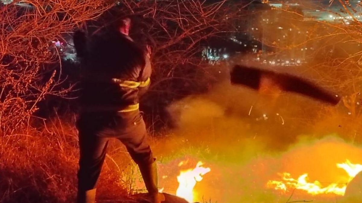 Pune: Massive Hill Fire in Sus Village Doused After Several Hours of ...