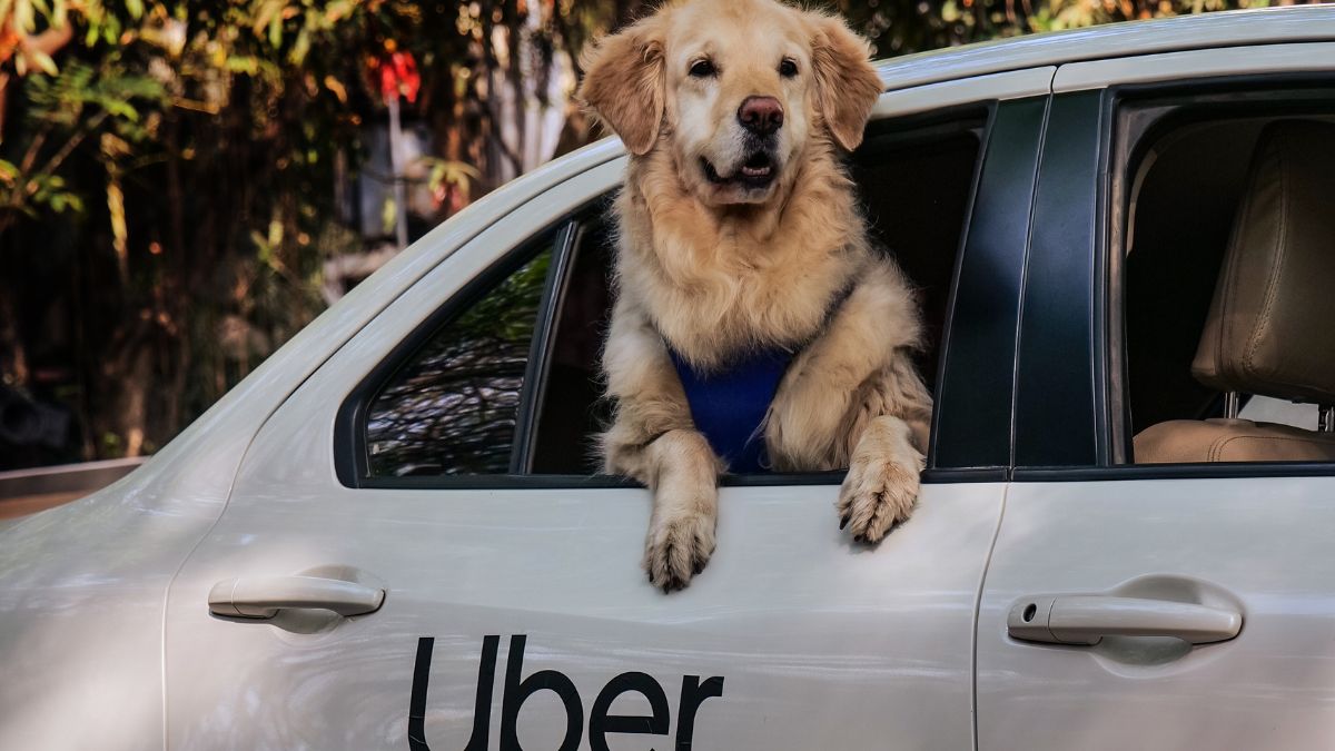 Uber Expands Uber Pet to Delhi and Mumbai
