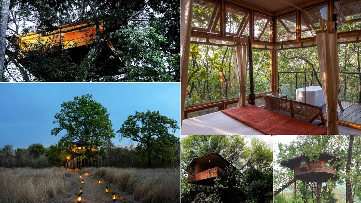 8 Best Treehouse Resorts For a Perfect Monsoon Holiday This Year - PuneNow