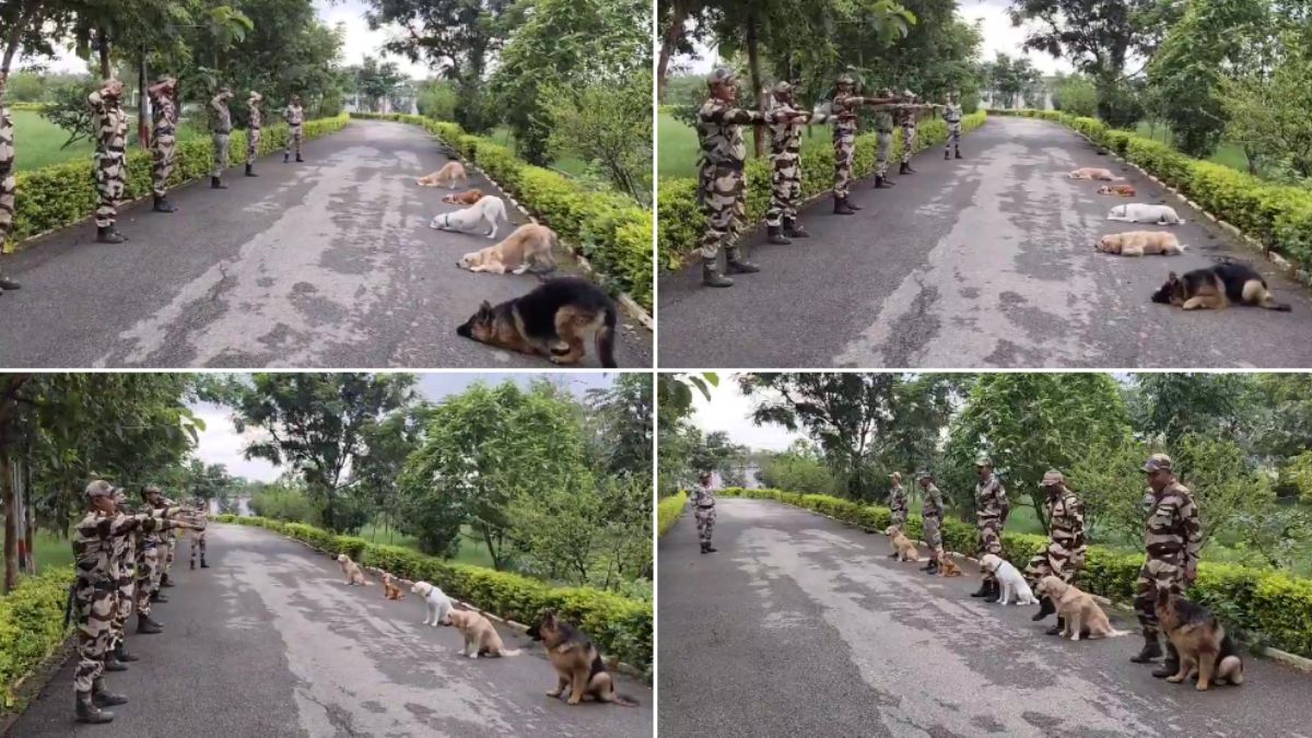 CISF Dog Squad: Born to Sense, Trained to Serve – India’s Elite Canine Protectors - PuneNow