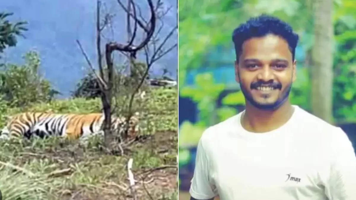 Wayanad Trekker Narrowly Escapes Tiger Encounter in Idukki’s ...