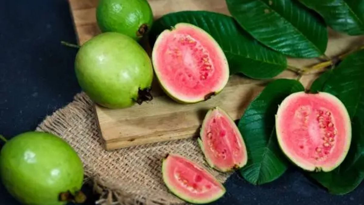 4 Types of People Who Should Avoid Eating Guava and Why - PuneNow