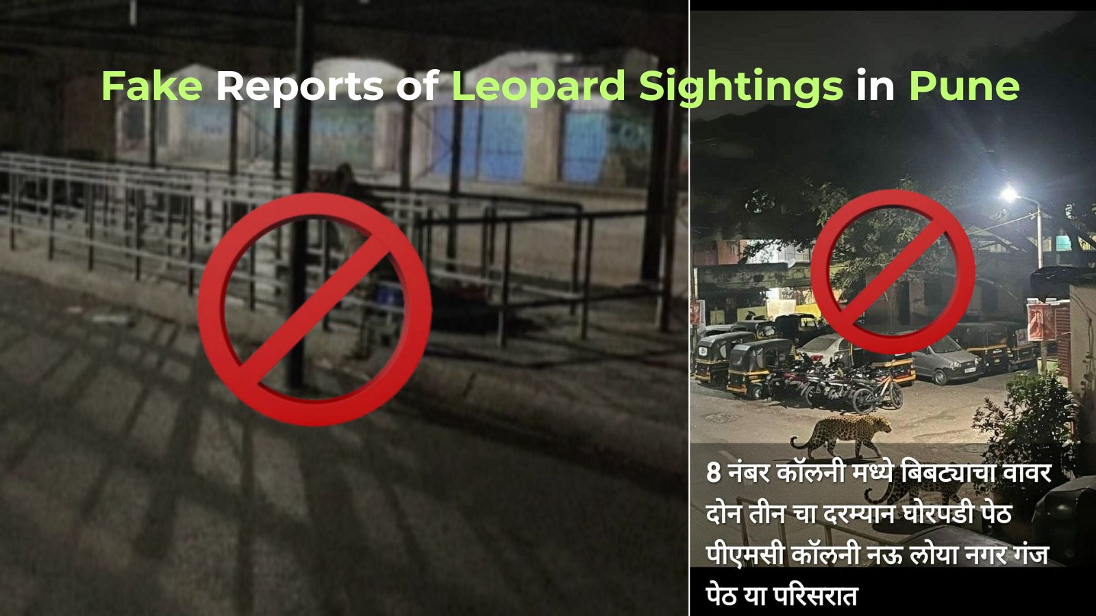 Fake Leopard Sightings in Pune Go Viral; Officials Urge Citizens To ...
